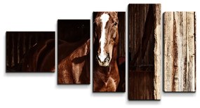 Sablio Obraz - 5-dílný Kůň ve stáji - 100x60 cm