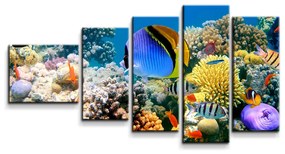Sablio Obraz - 5-dílný Korálový útes - 100x60 cm