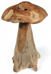 Houba, Teakové dřevo 20 cm