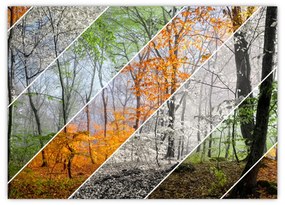 Skleněný obraz - Střídání ročních období (70x50 cm)