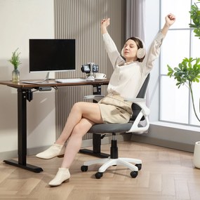 HOMCOM ergonomická síťovaná kancelářská židle se sklápěcími područkami, bederní oporou, výškově nastavitelná otočná židle s náklonem, šedá