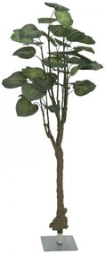 Umělá květina - Pothos stromek, 175cm