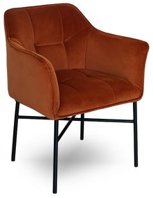 Čalouněná židle Rozalio s područkami - Salvador 14 oranžová / černé nožky