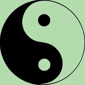 Samolepka Síla Jin - Jang