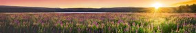 Fototapeta za linku KI350-145 Sunset over the Meadow 350 x 60 cm