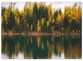 Skleněný obraz lesního jezera (70x50 cm)