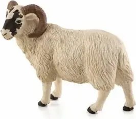 Mojo Animal Planet Beran Hampshire / od 3 let