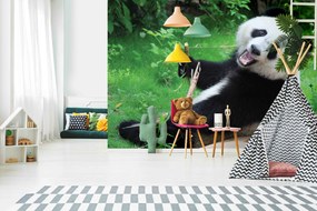 Malvis ® Tapeta Panda Vel. (šířka x výška): 432 x 290 cm