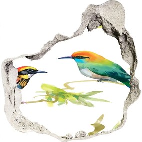 Wallmuralia Díra 3D fototapeta na stěnu Egzotičtí ptáci 75x75 cm