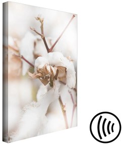 Obraz Větvičky bavlníku - přírodní rostlinná fotografie ve stylu boho