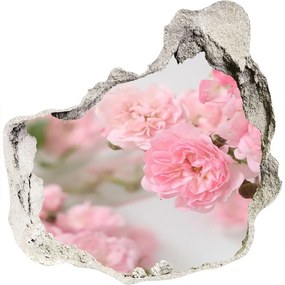 Wallmuralia Samolepící nálepka na zeď Divoké růže 75x75 cm