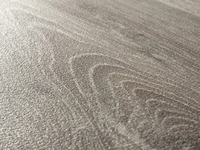 Beaulieu International Group, PVC podlaha - lino Livitex 2604, na míru, šíře 3m,4m, šedá, filc, chodba / předsíň