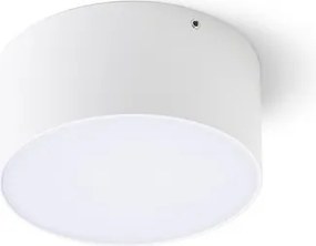 RED R14123 LARISA OUT 12 přisazená bílá 230V LED 10W IP65 3000K 4000K 5700K - RED - DESIGN RENDL