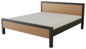 Nábytek ATIKA s.r.o. Kovová postel GENIUS Povrchová úprava: bílá, Rozměr: 160 x 200 cm