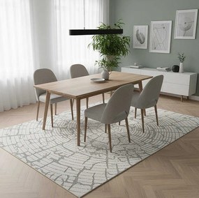 TZ Šedý obdélníkový koberec Strado Polo Star s dřevěným vzorem Rozměr: 120x170 cm
