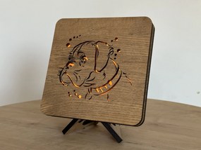Li-Go "Boxer" lampa 19x19 cm provedení povrchu: dub