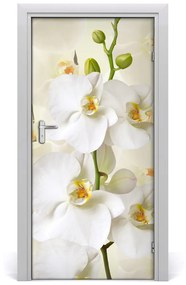 Fototapeta na dveře Bílá orchidej 85x205 cm