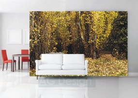 Obrazová fototapeta na zeď čtyřdílná FT 0324 Lavička a stromy na podzim
