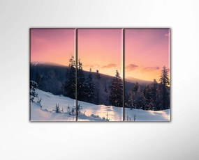 Obraz andělská křídla Rozměry kolekce: třídílný obdélník 120x80 cm