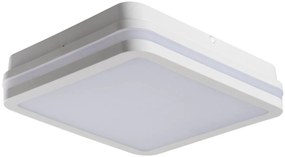 Led světlo kanlux beno 24 w nw-l-w přisazené svítidlo led