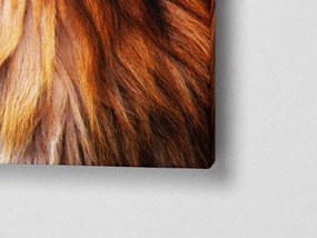 Liox XXL Obraz lev a měsíc Rozměr: 200 x 100 cm