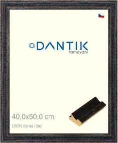 DANTIK rámeček 40x50 | LYON černá (Plexi Čiré)