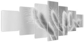 Obraz - Bunny tail grass (210x100 cm)