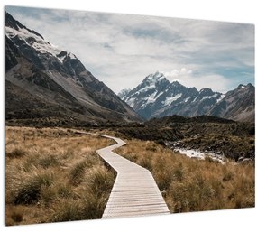 Skleněný obraz - Chodník v údolí hory Mt. Cook (70x50 cm)