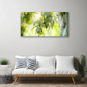 Obraz na skle Jablka Větev Strom Příroda 100x50 cm