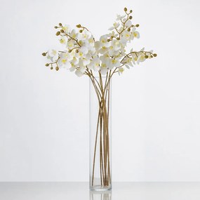 Kvalitní orchidej KARINA bílá. Cena je za 1 kus.