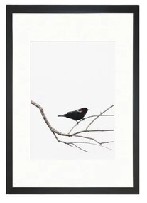 Plakát 24x29 cm Bird on the Branch – Tablo Center