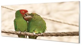 akrylový obraz zelené papoušci 120x60 cm