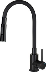 Deante Kitchen tap, with bendable spout - 2 stream types