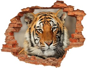 Wallmuralia Díra 3D foto tapeta nálepka Bengálský tygr 90x70 cm