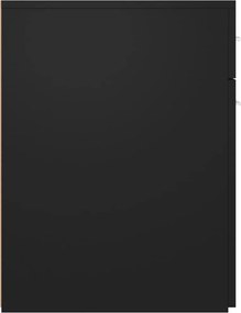 vidaXL Úložná skříňka 20 x 45,5 x 60 cm dřevotříska [804212] Barva: hnědý dub