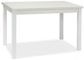 Casarredo Jídelní stůl ADAM 100x60 bílá mat