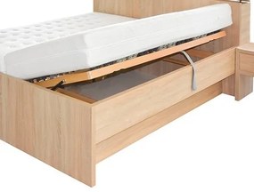 AHORN Úložný prostor pro postel Tropea s úložným boxem za hlavou ROZMĚR: 100 x 200 cm