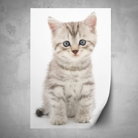 Plakát - Sedící kotě (80x120 cm) - PopyDesign