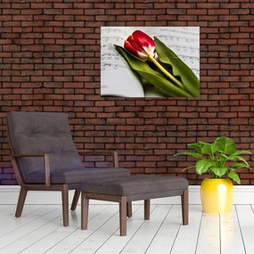 Skleněný obraz červeného tulipánu (70x50 cm)