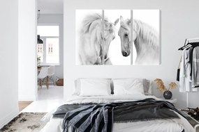 Vícedílný obraz Dva Koně Na Bílém Pozadí Nedostatek Nedostatek Přírodní plátno 180x120