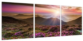 Obraz horské rozkvetlé krajiny (90x30 cm)