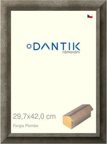 DANTIK rámeček 29,7x42 | Forgia Piombo (Plexi Čiré)