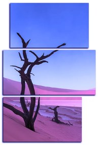Obraz na plátně - Mrtvý strom v dunách - obdélník 7130FC (120x80 cm)