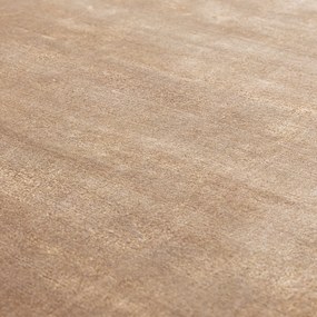 Tribeca Design Kusový koberec Reminic Copper Rozměry: 200x290 cm
