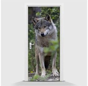Samolepící fototapeta - Vlk v lese 95 x 210cm