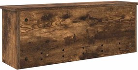 věšák, nástěnný, s dvířky, háčky, kompozitní dřevo, 30x80x20 cm, kouřový dub, Dekorino TK20260024