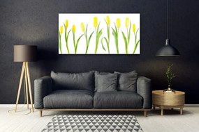 Plexisklo-obraz Žluté Tulipány Květiny 120x60 cm