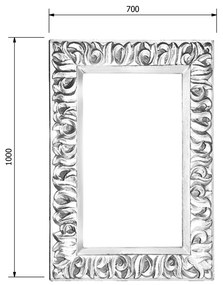 Sapho ZEEGRAS zrcadlo ve vyřezávaném rámu 70x100cm, stříbrná IN432
