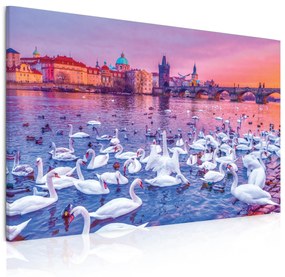 Obraz labutě na Vltavě Velikost (šířka x výška): 120x80 cm