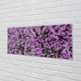 akrylový obraz fialové květy 120x60 cm